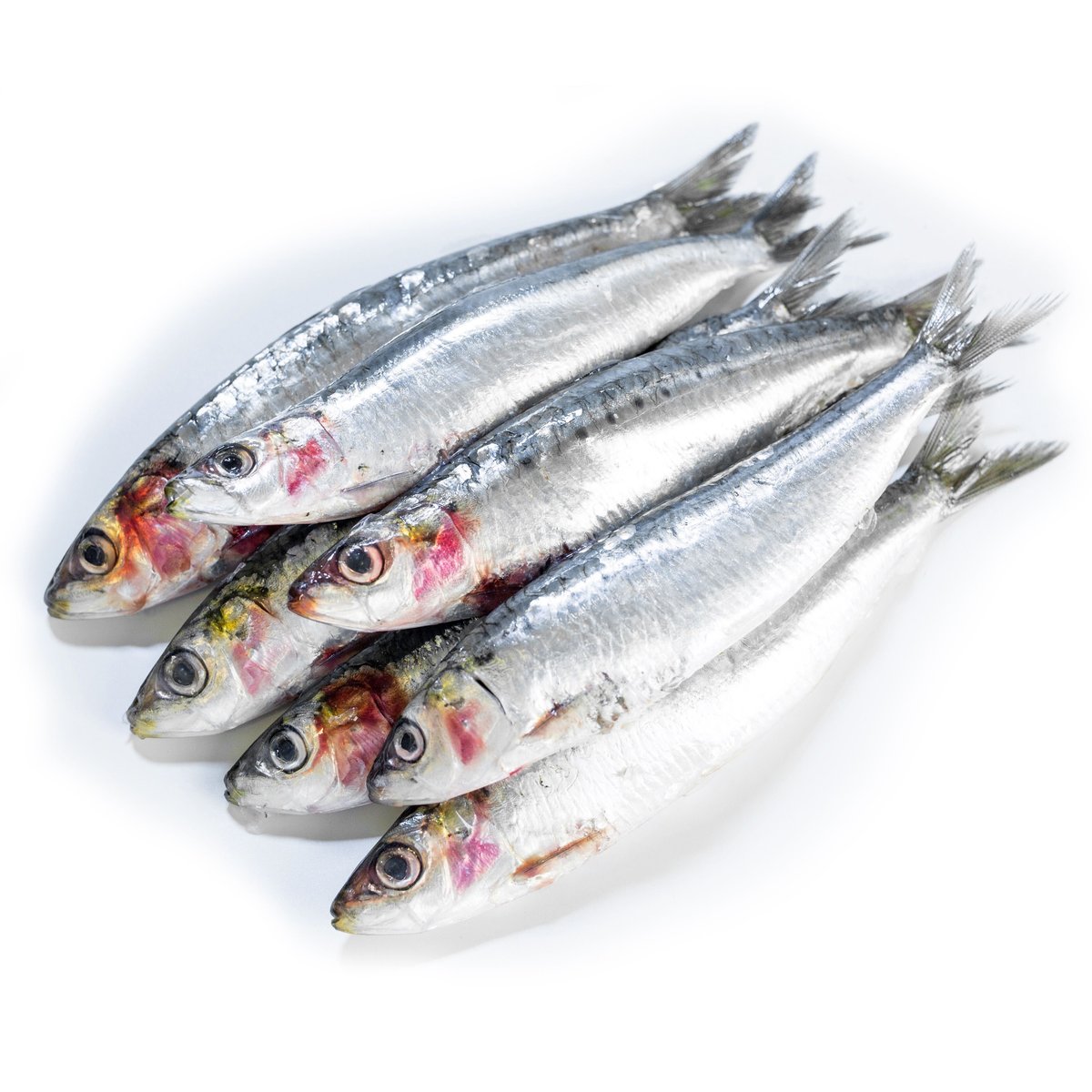 Sardinka obecná nekuchaná v akci | AkcniCeny.cz